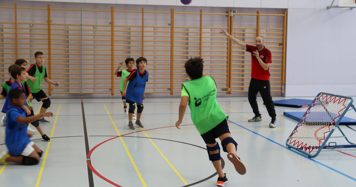 Offre de stage à la Maison du tchoukball de Genève - Swiss Tchoukball